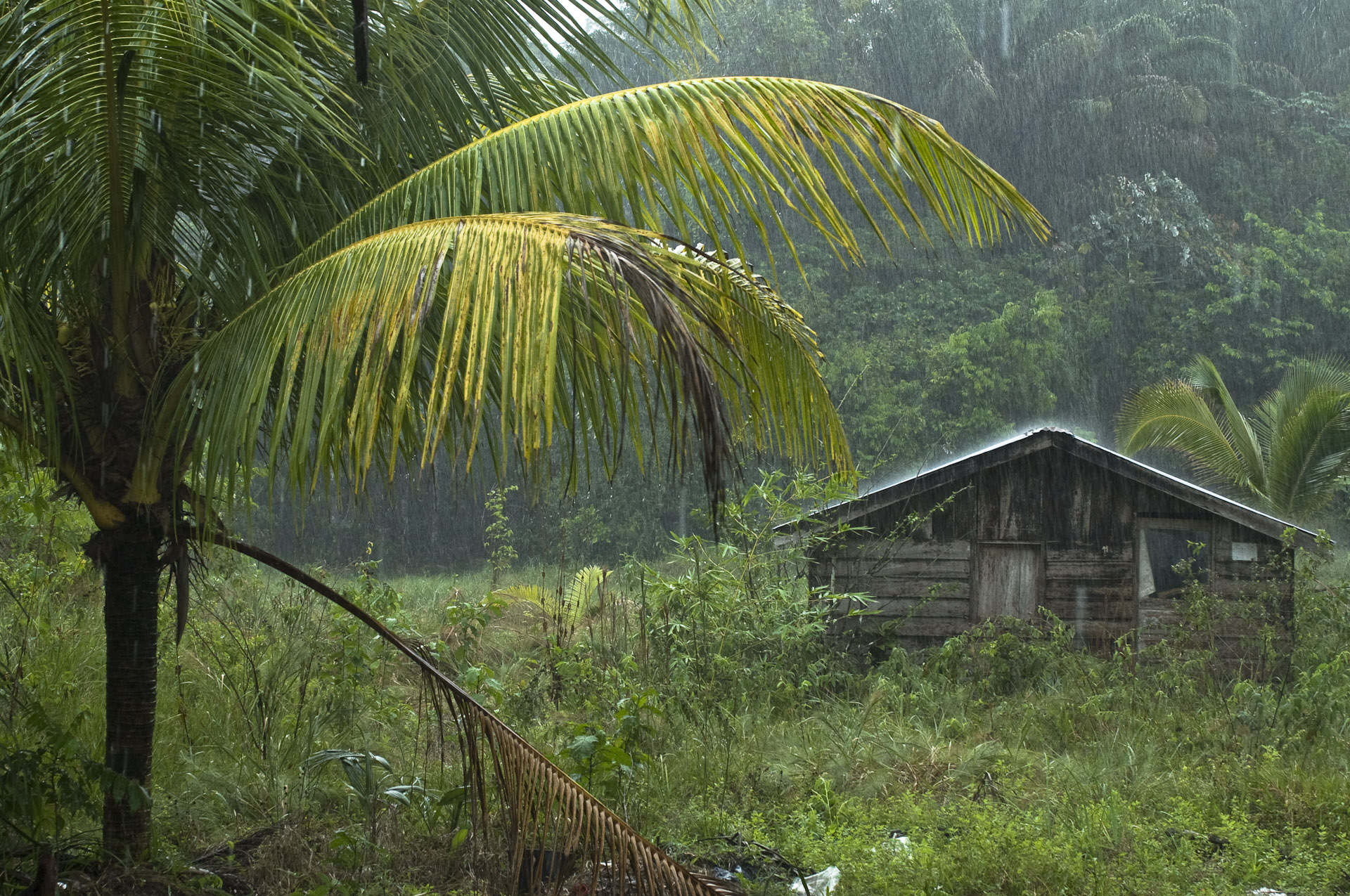 Pluie sur le Maroni, Guyane Française. 2 | Pierre Scholl